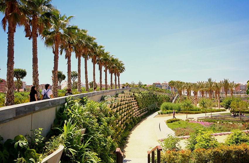 Why Valencia is the Greenest City in Europe