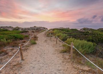 Enjoy the Nature in Valencia | Valencia Nature