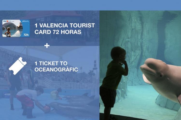 València Tourist Card 72 Horas y Entrada al Oceanogràfic